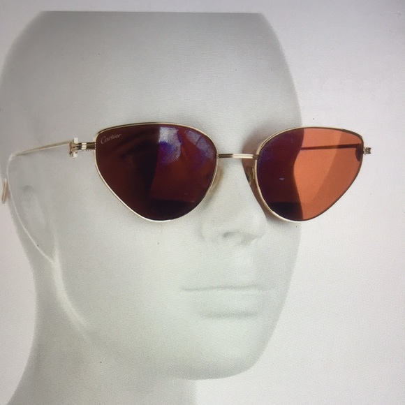Cartier | Accessories | Authentic Cartier Sunglasses | Poshmark